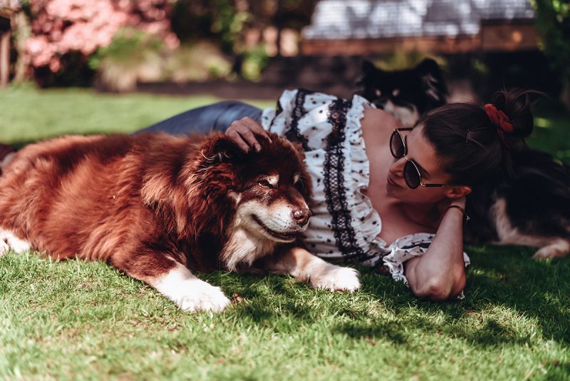 The Life of MrK : 2007-2022 - thankfifi